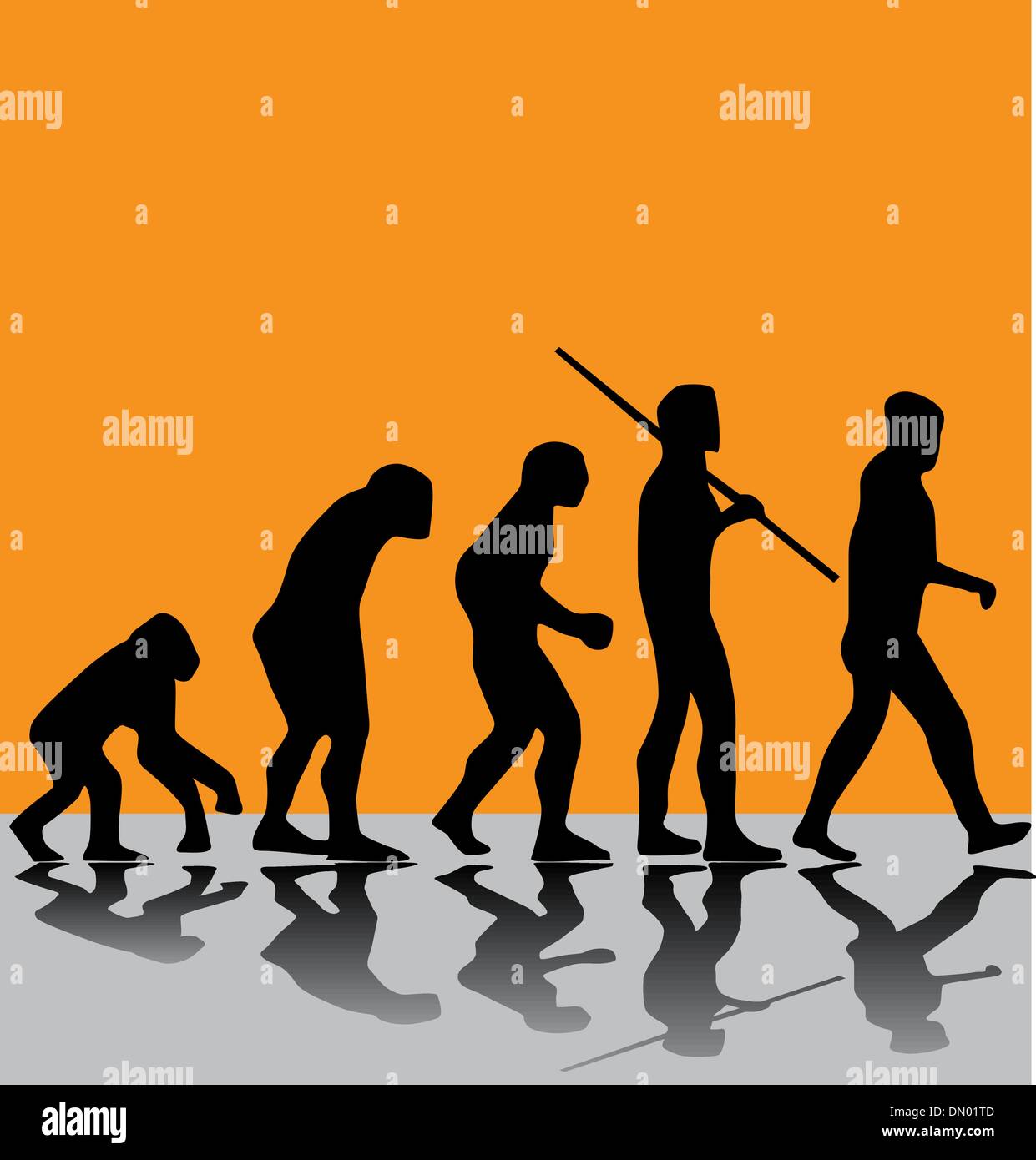 Prehistoric human evolution Stock Vector Images - Alamy