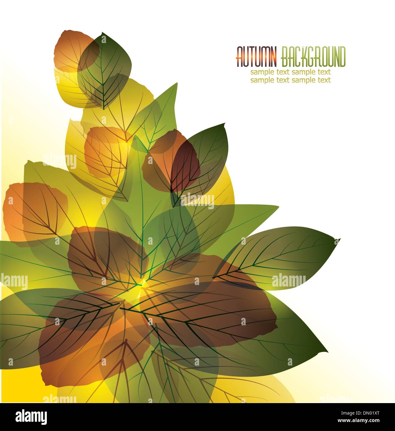 Autumnal concept tree leaves Stock Vector Images - Alamy