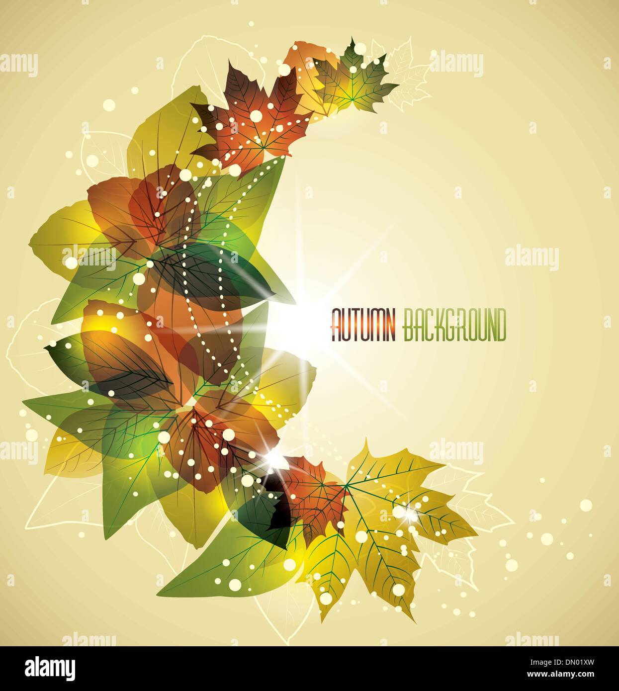 Macro fall leaves Stock Vector Images - Alamy