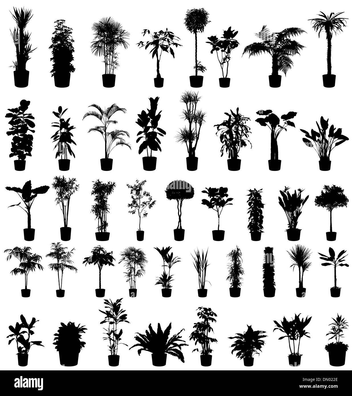 Large flower bud Black and White Stock Photos & Images - Alamy