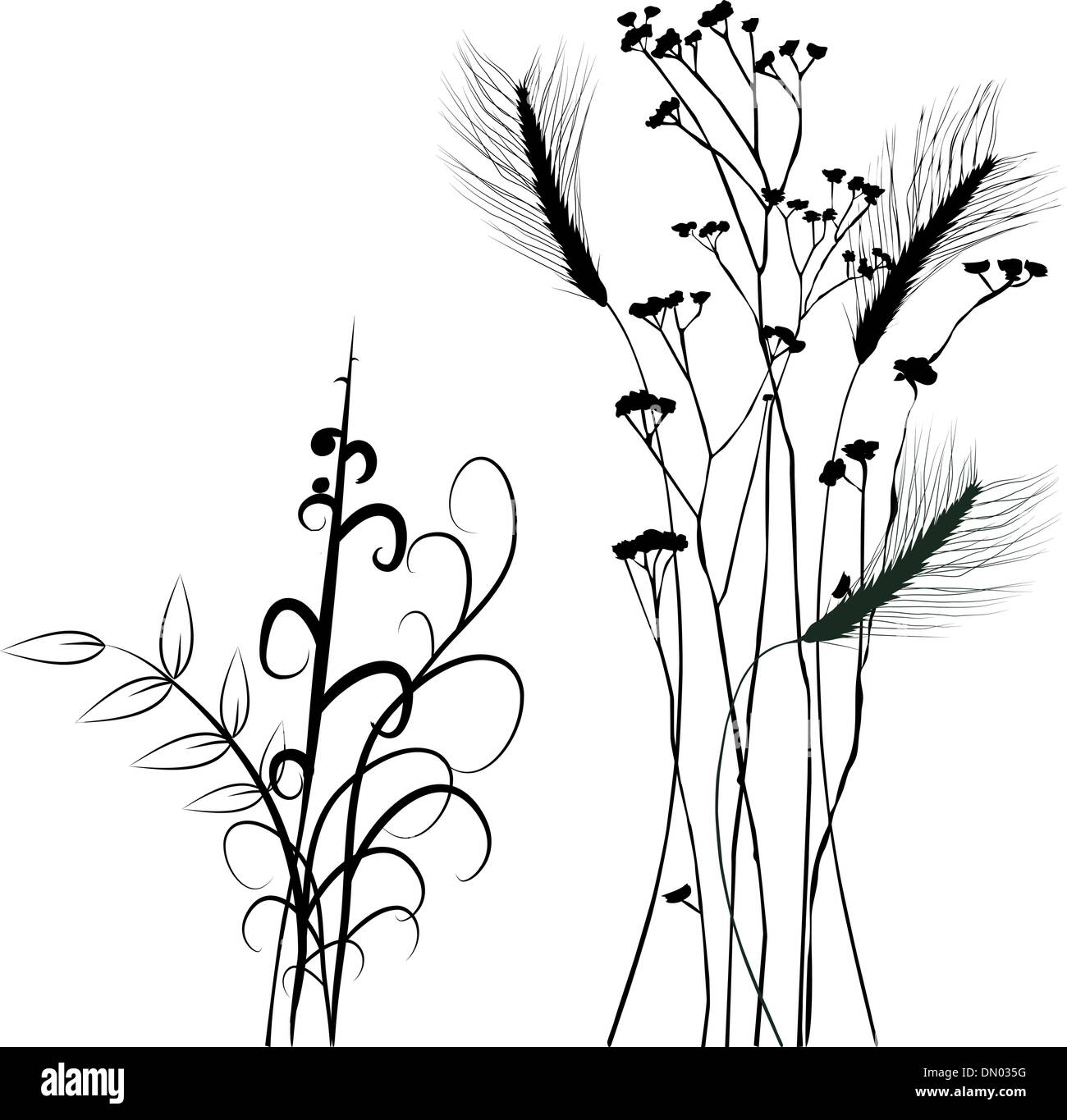 Collection for designers, plant vector Stock Vector Image & Art - Alamy