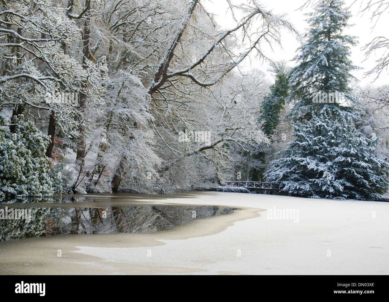 Garden pond winter hi-res stock photography and images - Alamy