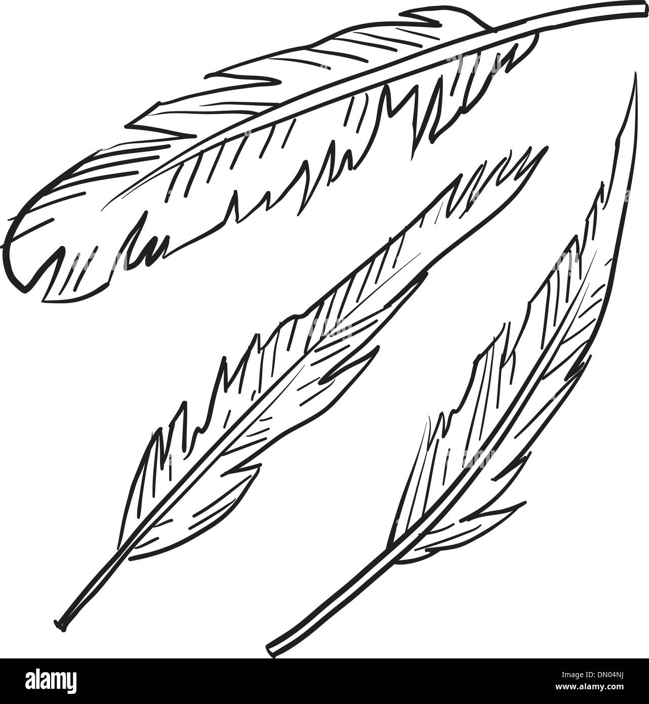 Dark feathers Stock Vector Images - Alamy