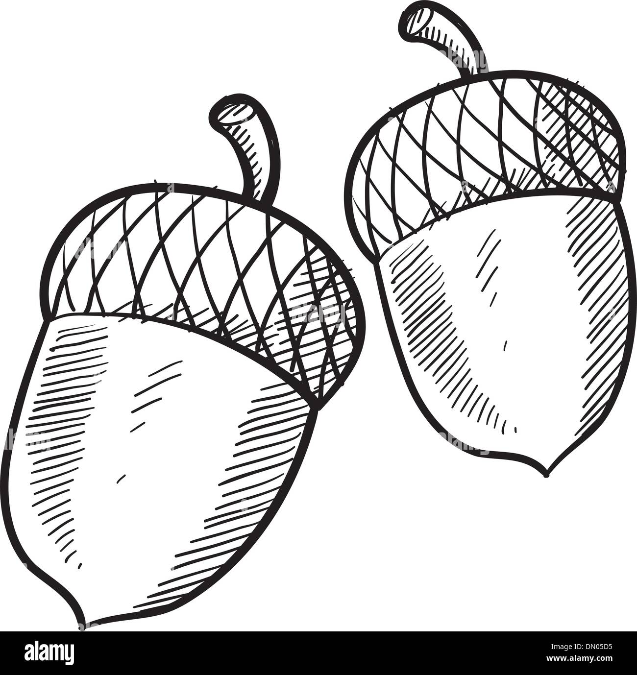 'buckeye Stock Vector Images - Alamy