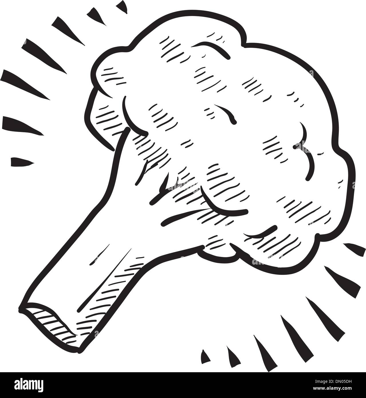 Green cauliflower isolated on Stock Vector Images - Alamy