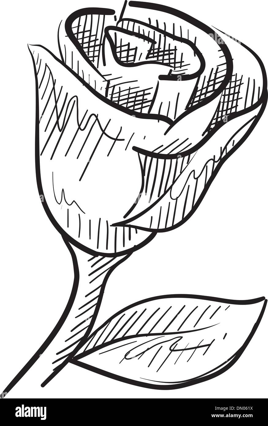 Rose stalk Stock Vector Images - Alamy