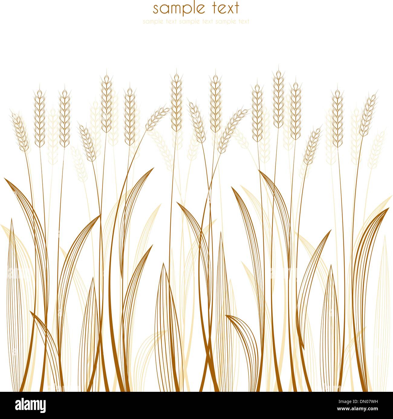 Crop farming field detail Stock Vector Images - Alamy