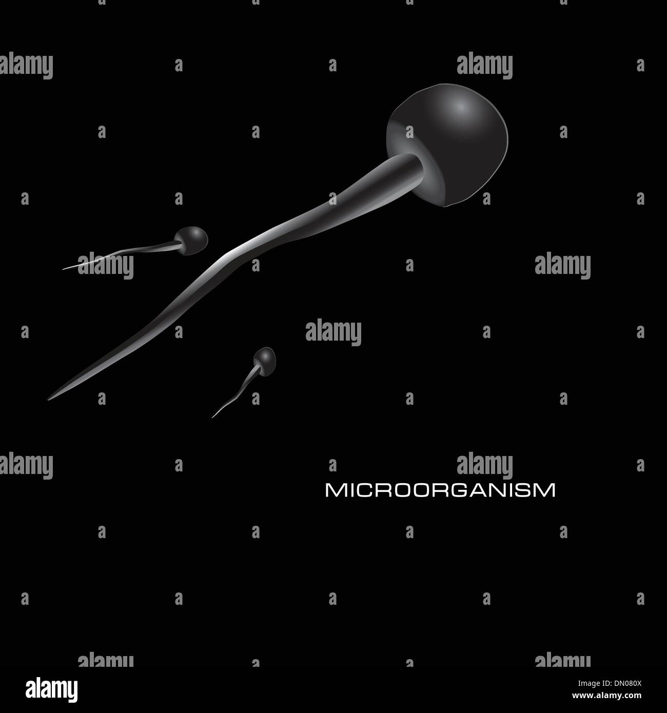 Microorganisms hi-res stock photography and images - Alamy