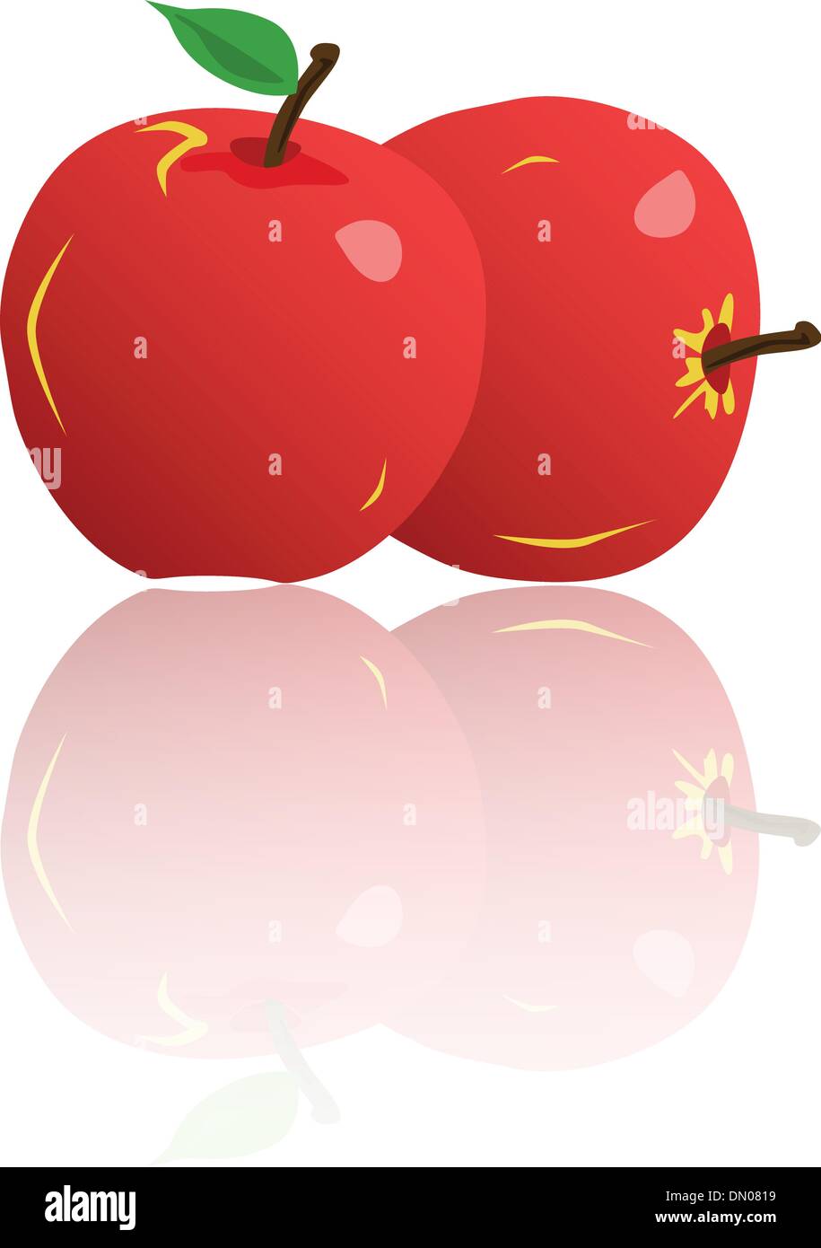 Illustration of two apples Stock Vector Images - Alamy