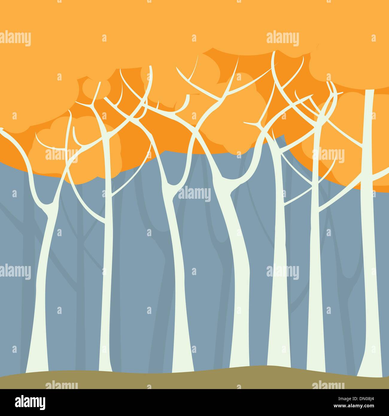 White birch forest Stock Vector Images - Alamy