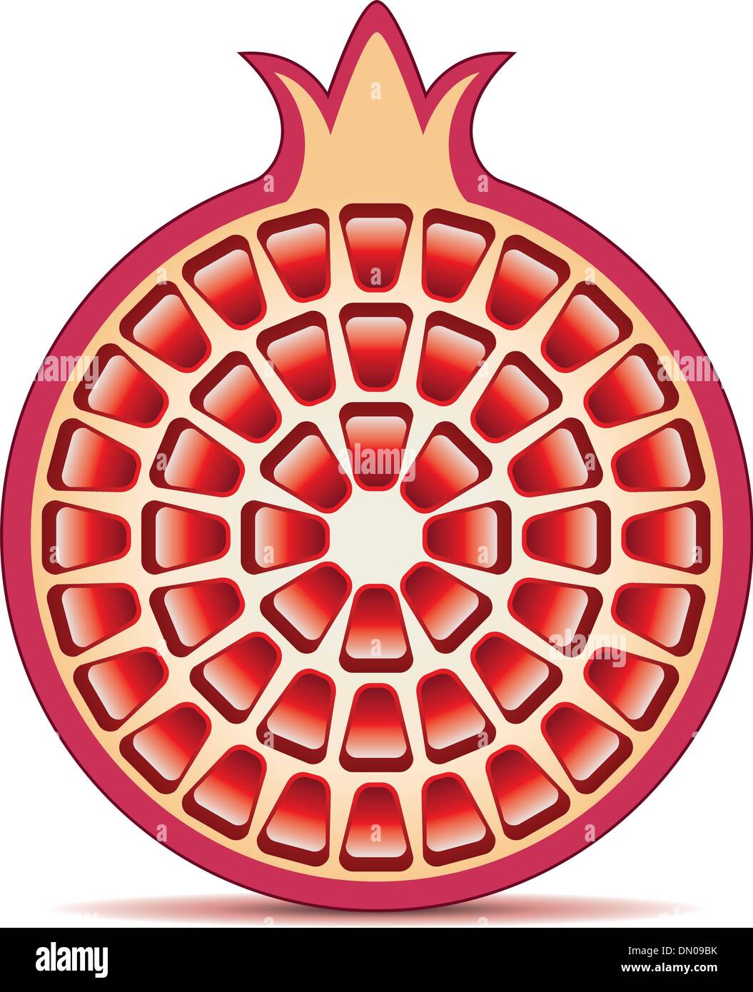 Pomegranate color vector vectors hi-res stock photography and images ...