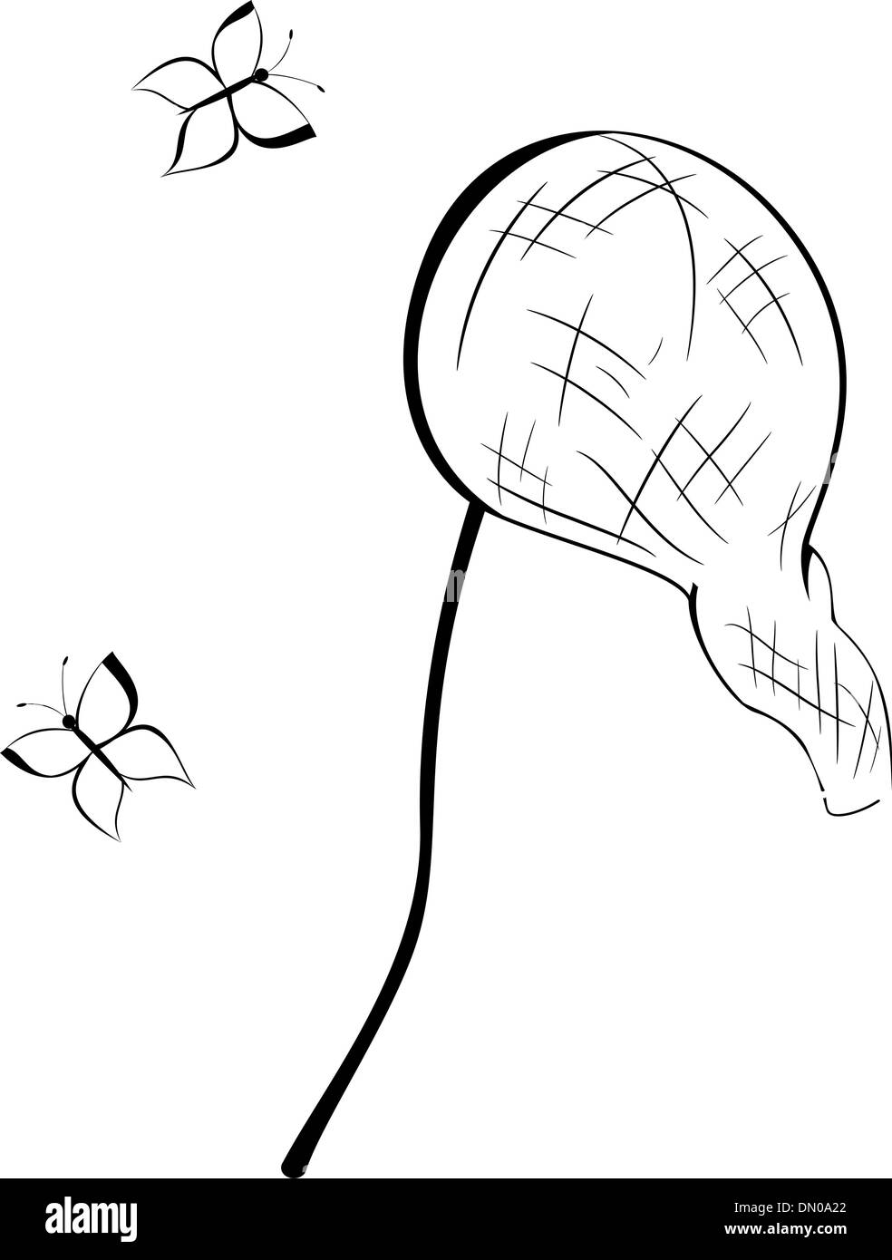 Butterfly Net Drawing