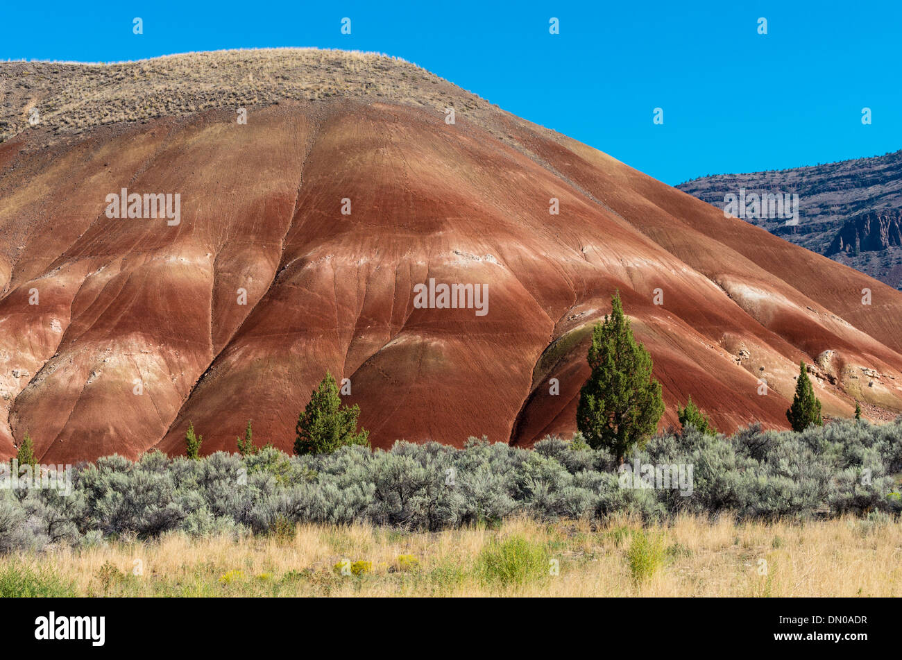 Layers of colored soil deposited by volcanic eruptions in the Painted ...