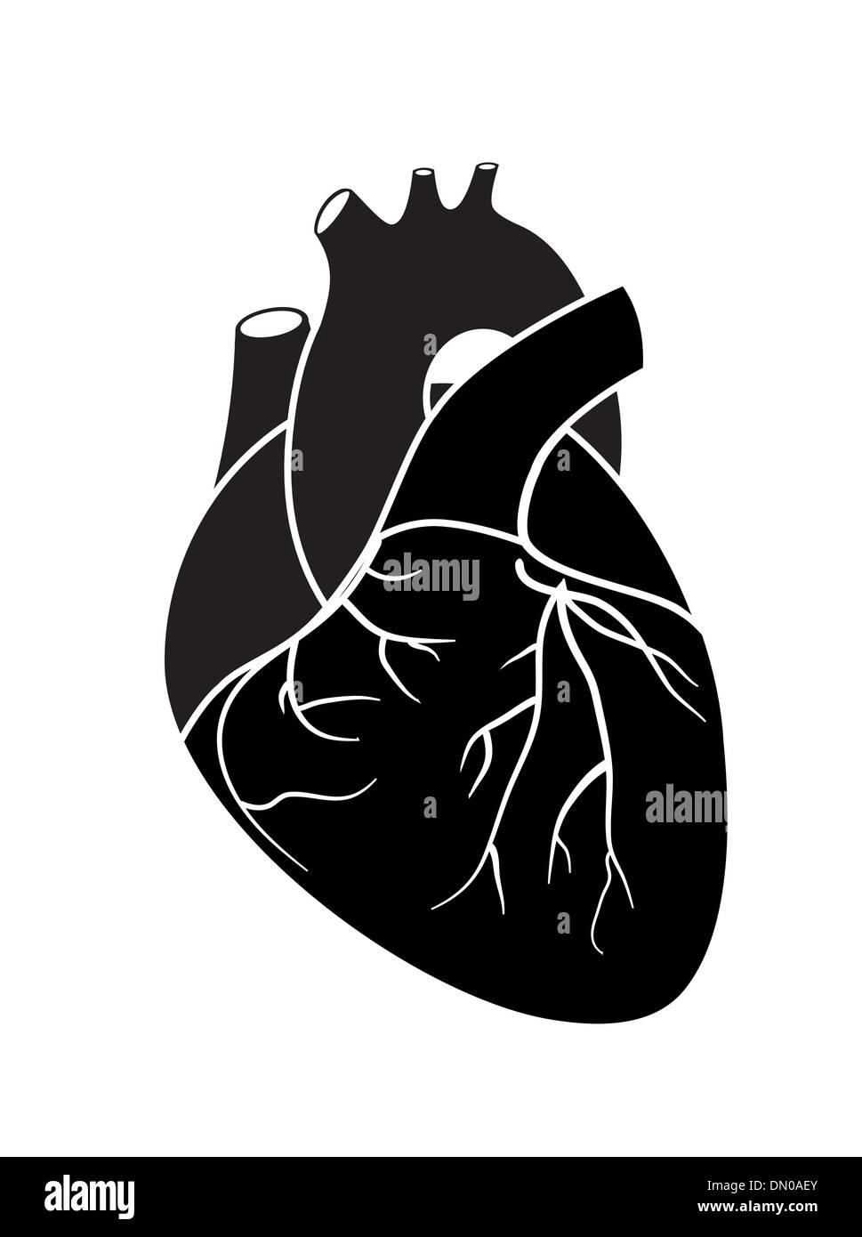 Heart organ object Stock Vector Images - Alamy