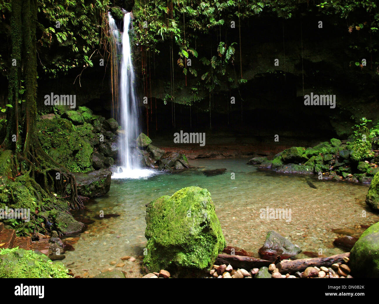 Emerald Pool in Dominica Stock Photo - Alamy