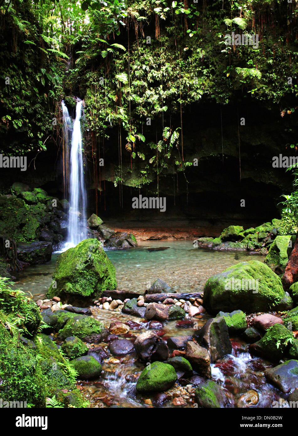 Emerald Pool waterfall in Dominica Stock Photo - Alamy