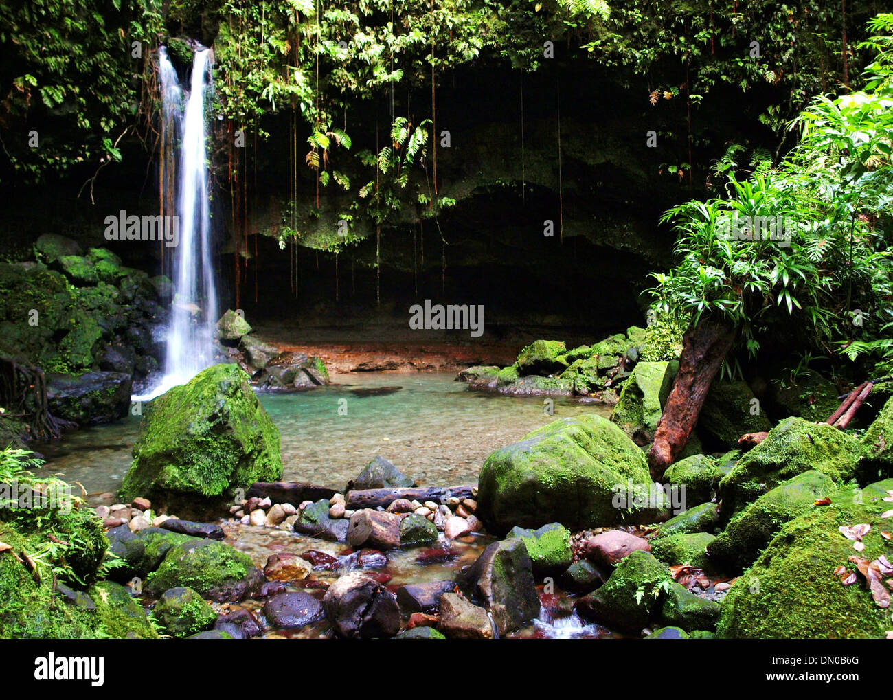 Emerald pool waterfall dominica hi-res stock photography and images - Alamy