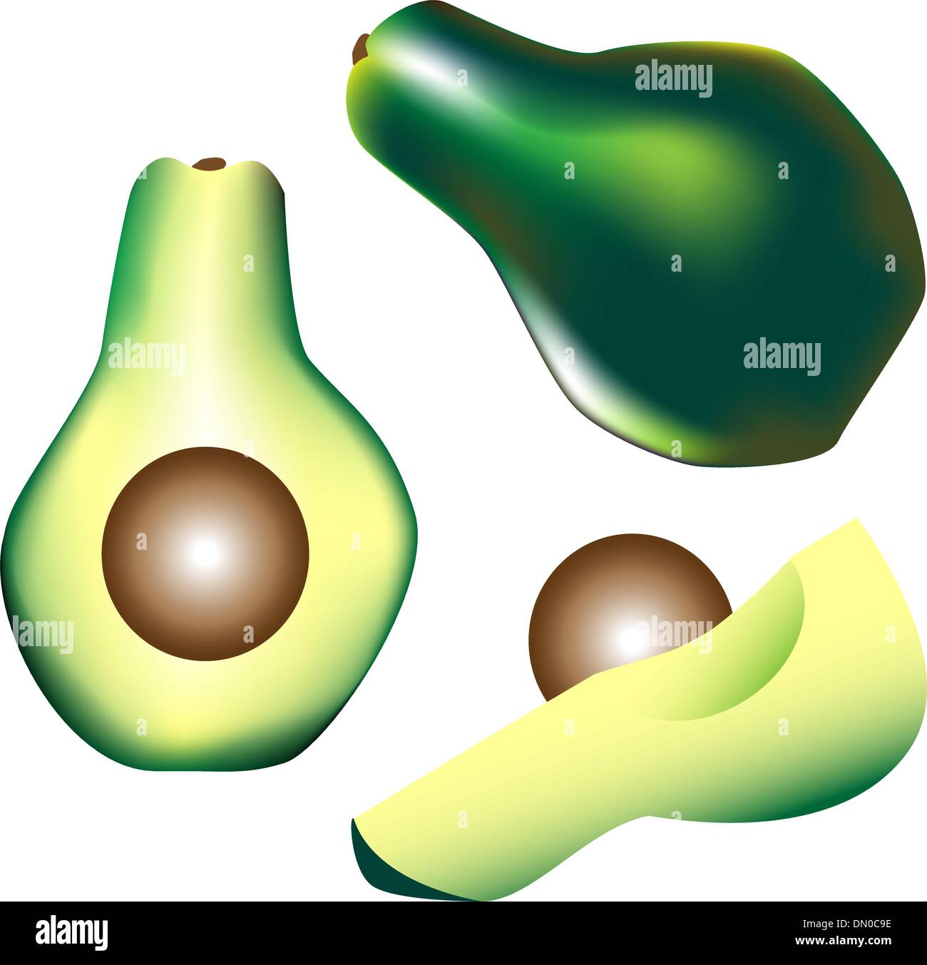 Avocado vector illustration Stock Vector Image & Art - Alamy