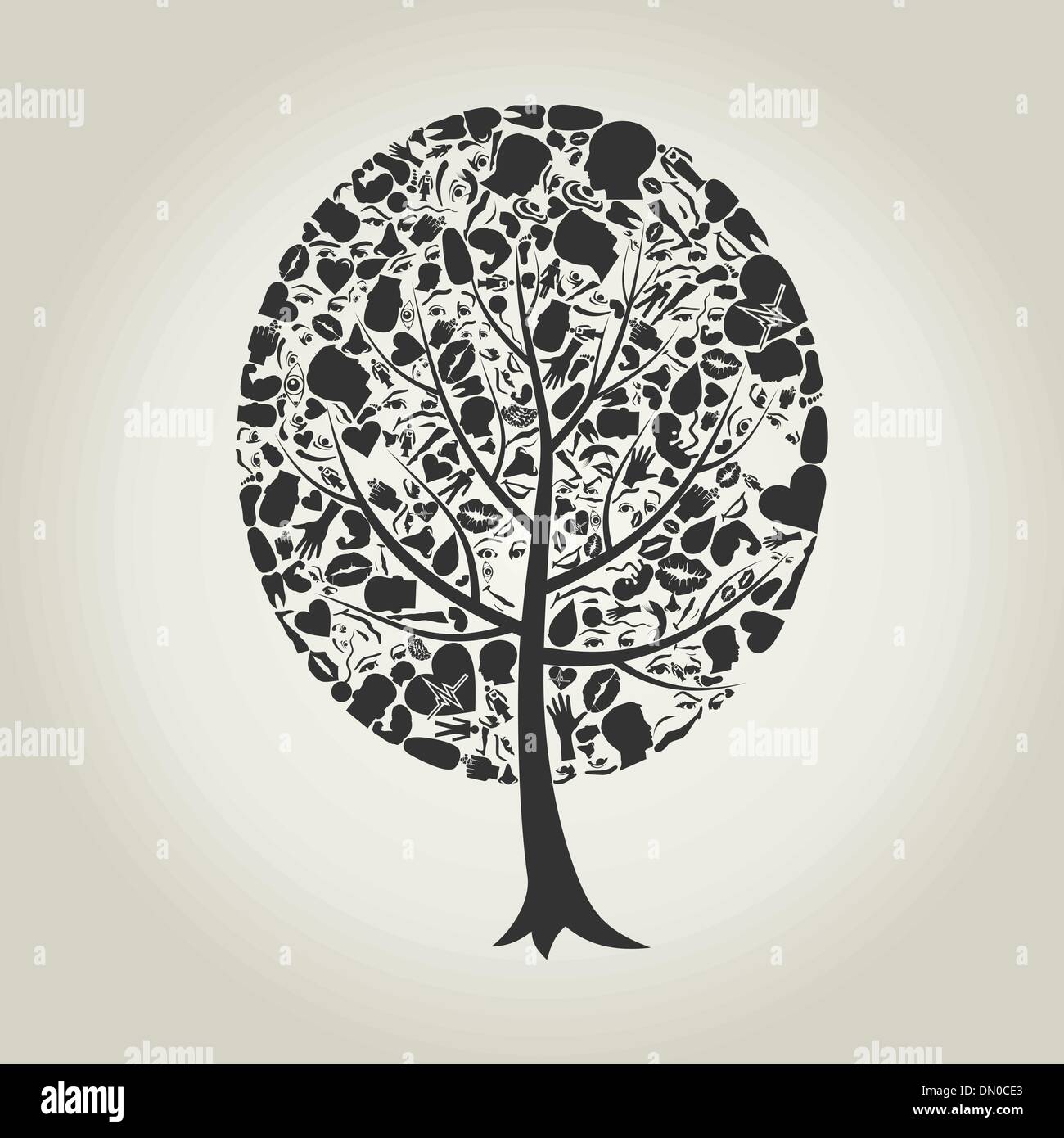 Woman Body Anatomy Image Stock Vector Images - Alamy