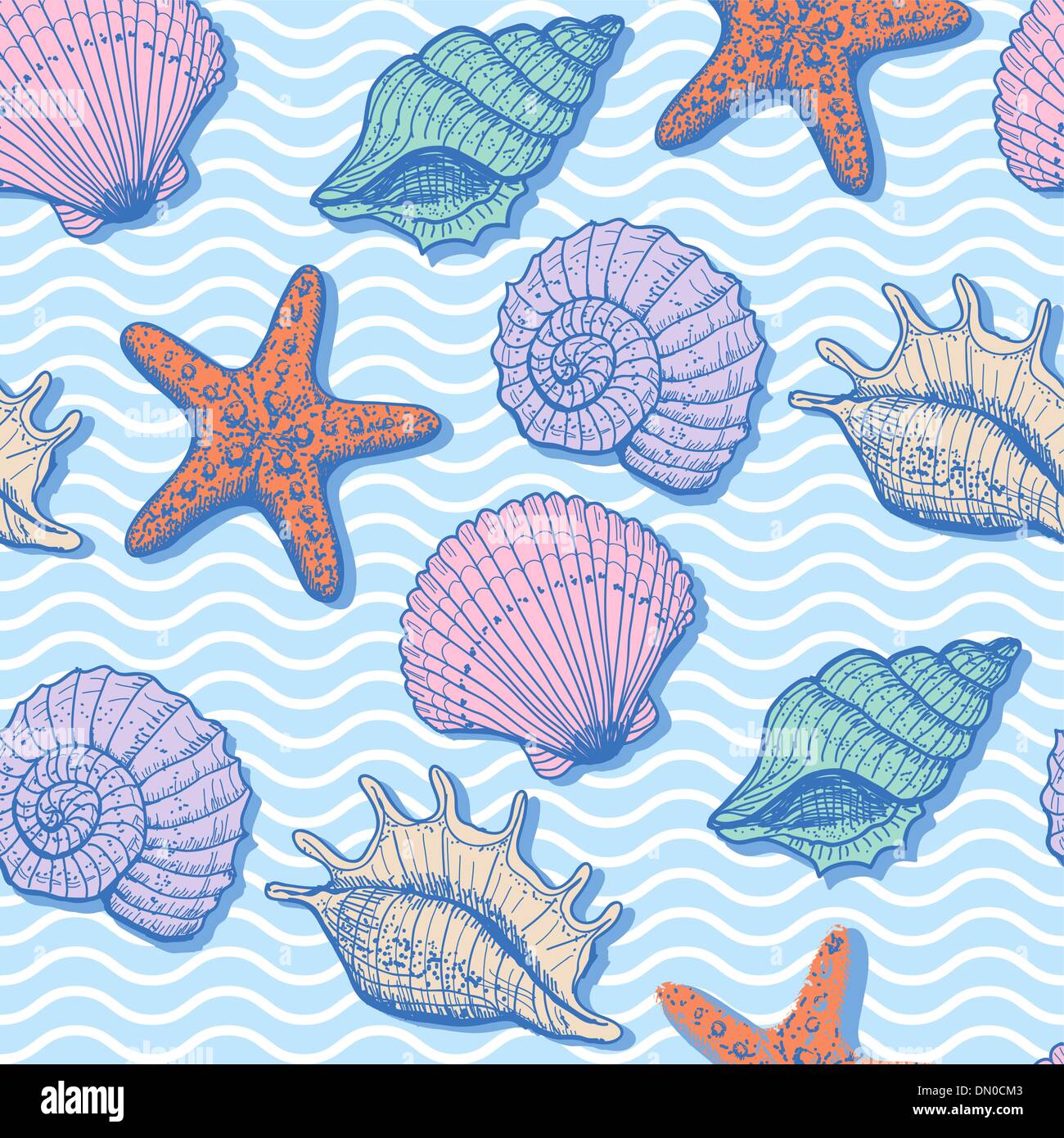 Hand drawn sea shell hi-res stock photography and images - Alamy