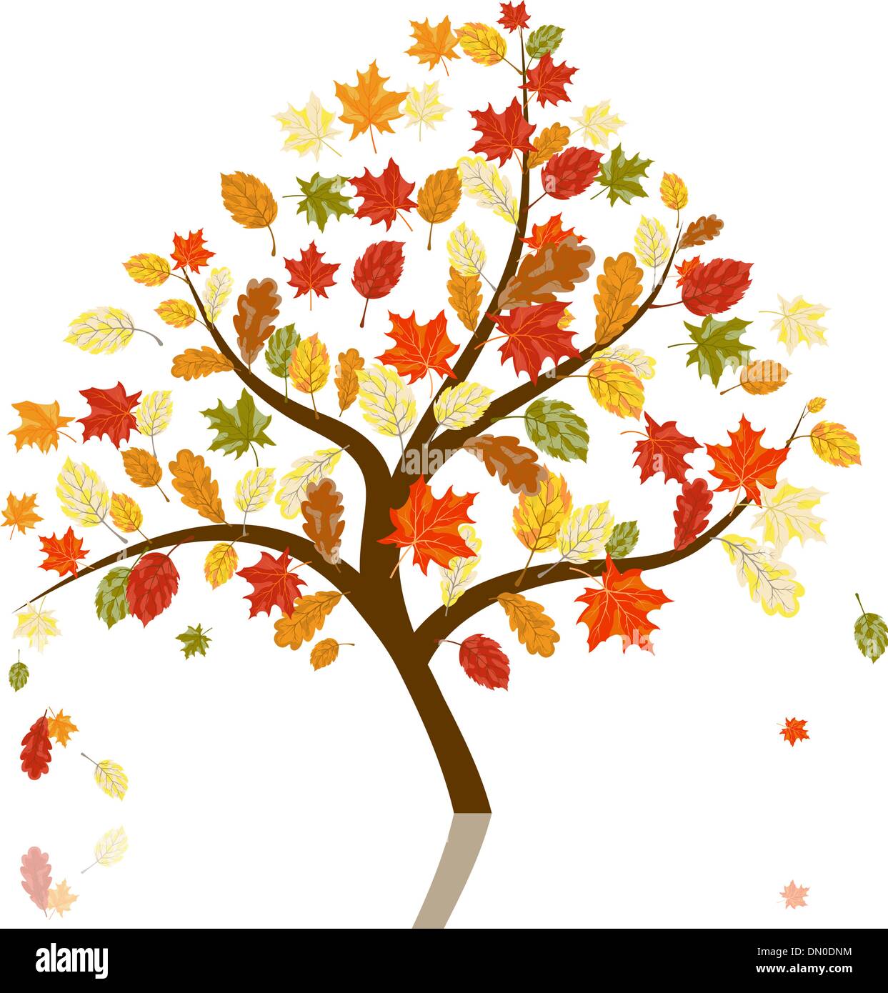 Tree maples green outdoors Stock Vector Images - Alamy