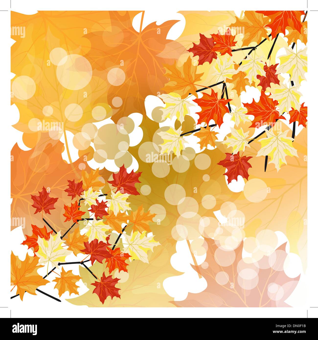 The maples tree Stock Vector Images - Alamy