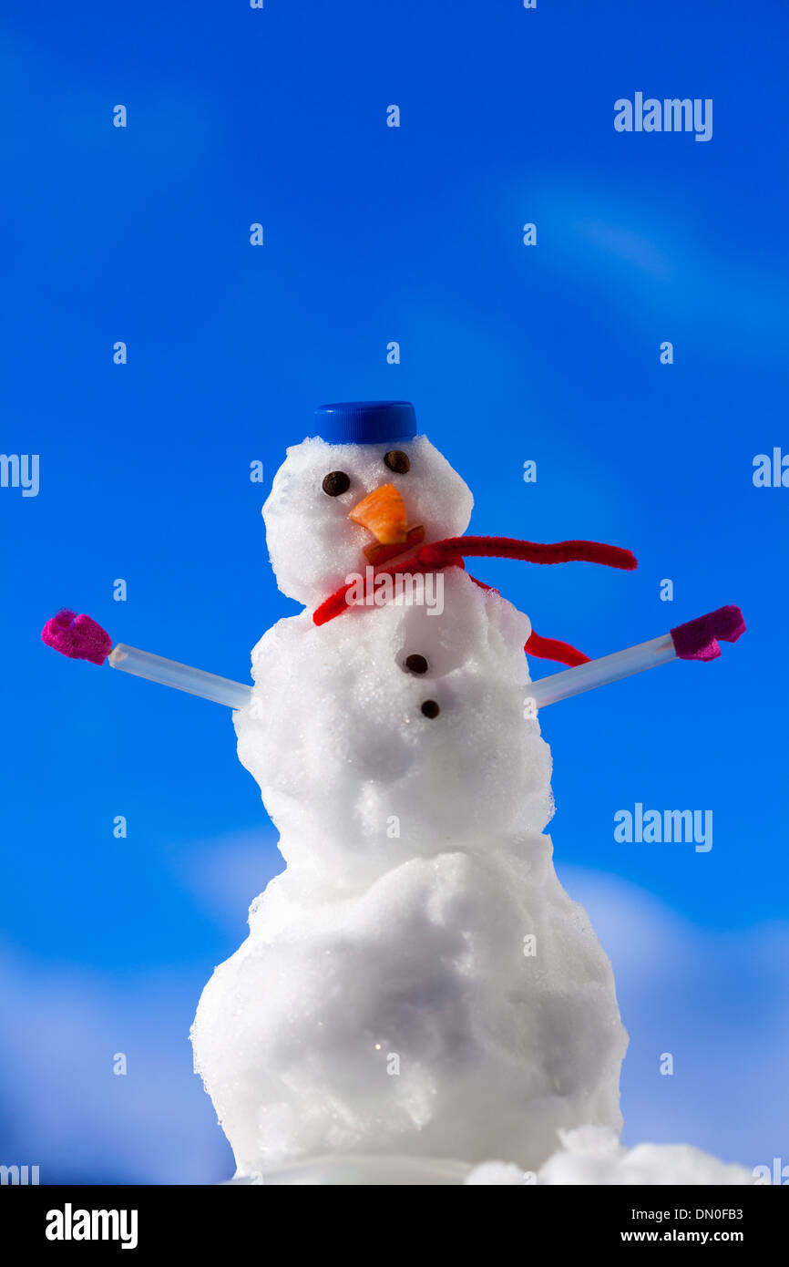 Happy snowman with carrot as nose, pink gloves, blue hat and red scarf ...
