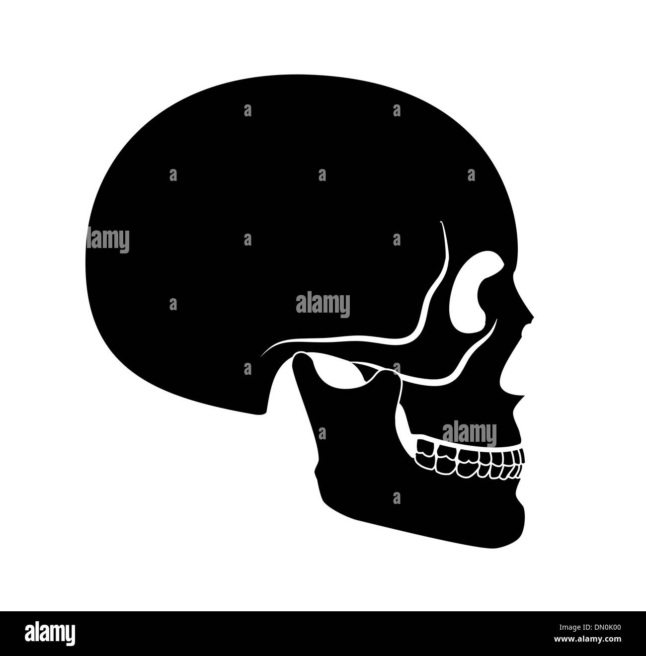 Black skull hi-res stock photography and images - Alamy