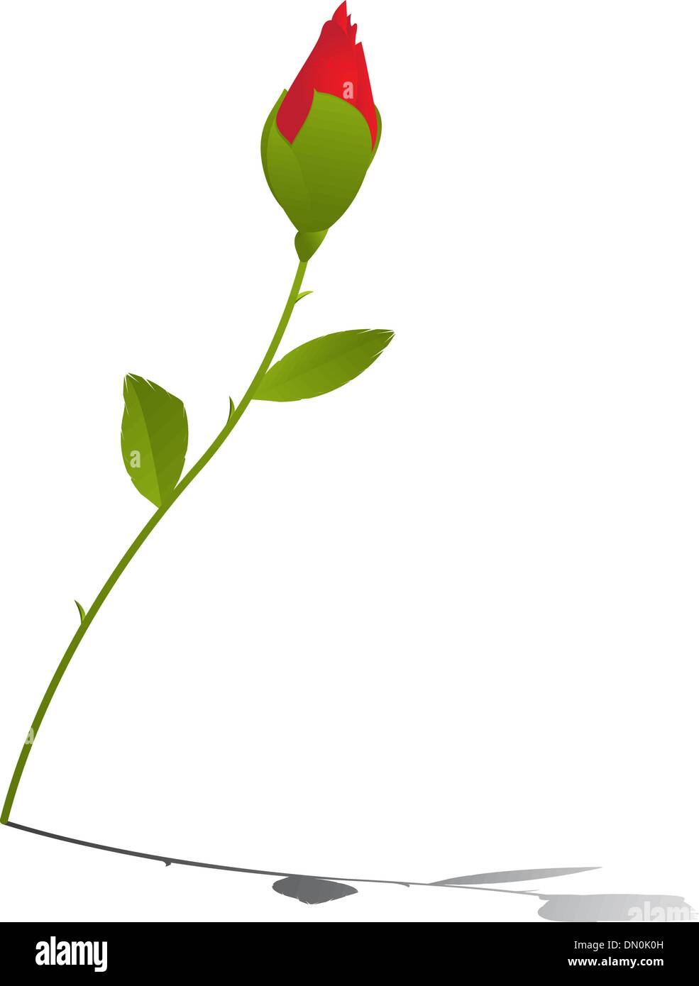 One rose flower Stock Vector Images - Alamy