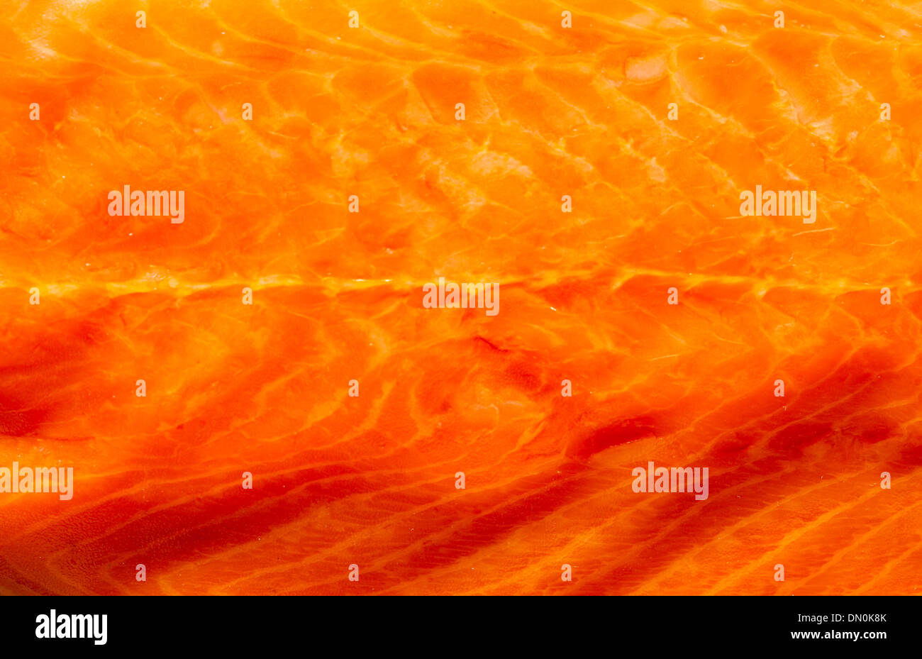 Closeup macro of fresh salmon. Red fish redfish raw meat as food ...