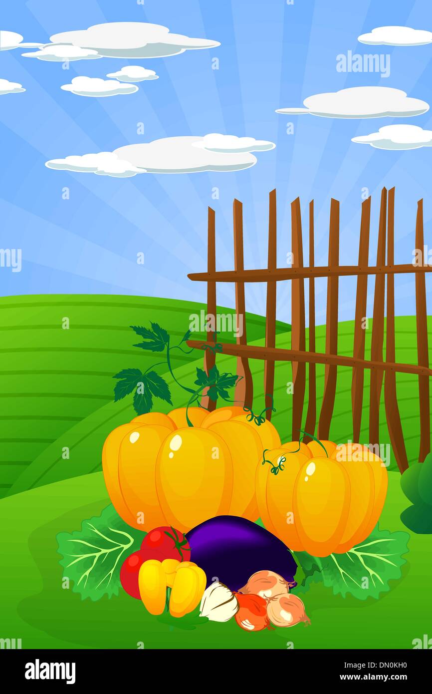 Harvest time background Stock Vector Images - Alamy