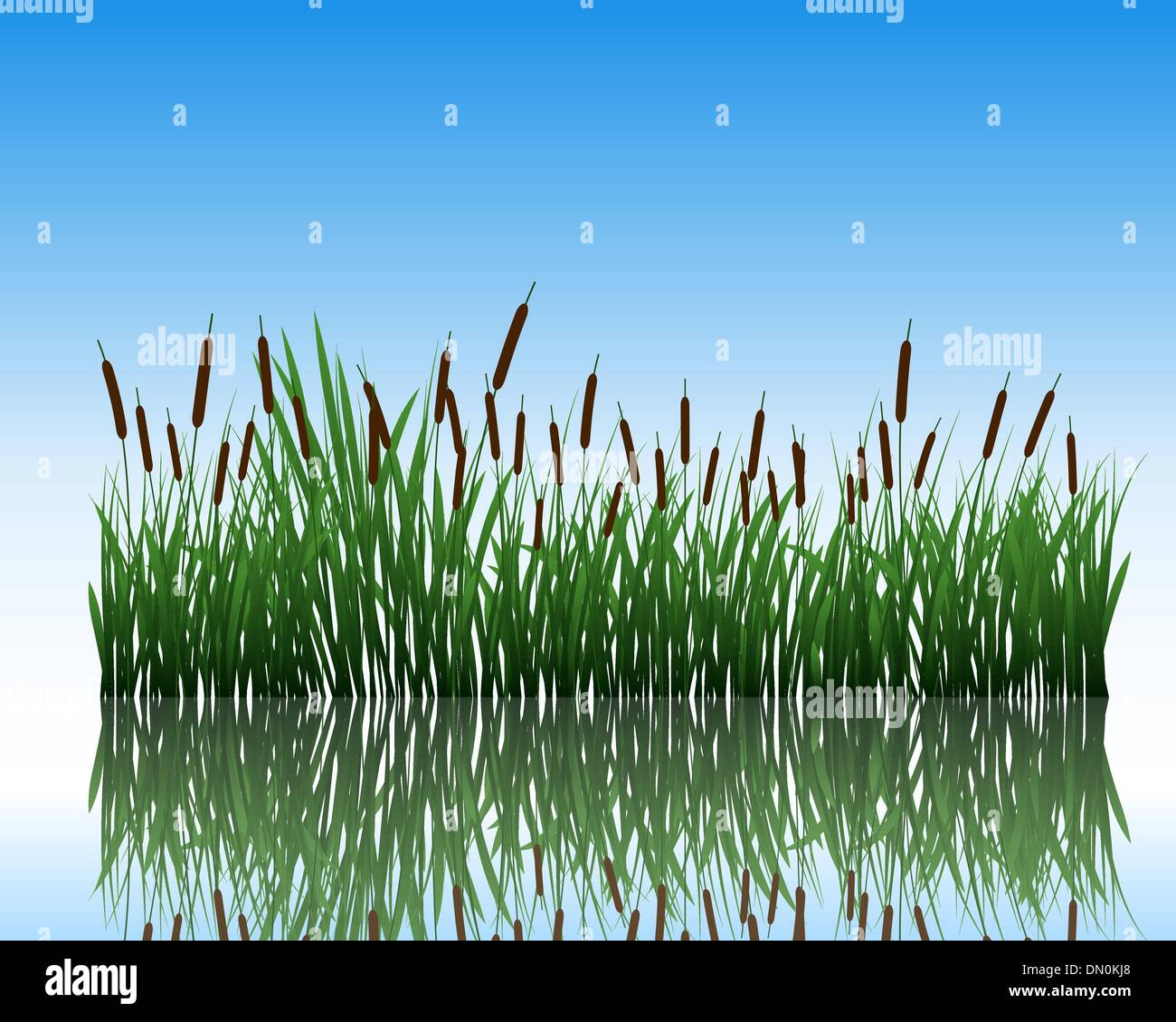 Reflection of garden Stock Vector Images - Alamy