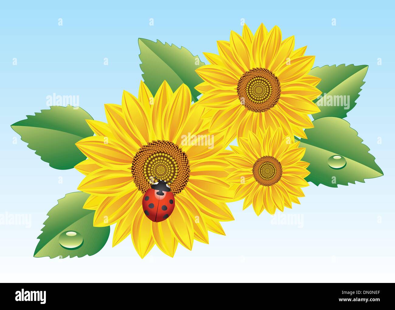 Colorful sunflowers Stock Vector Images - Alamy