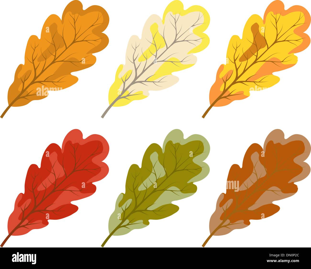Collection of color autumn leaves Stock Vector Image & Art - Alamy