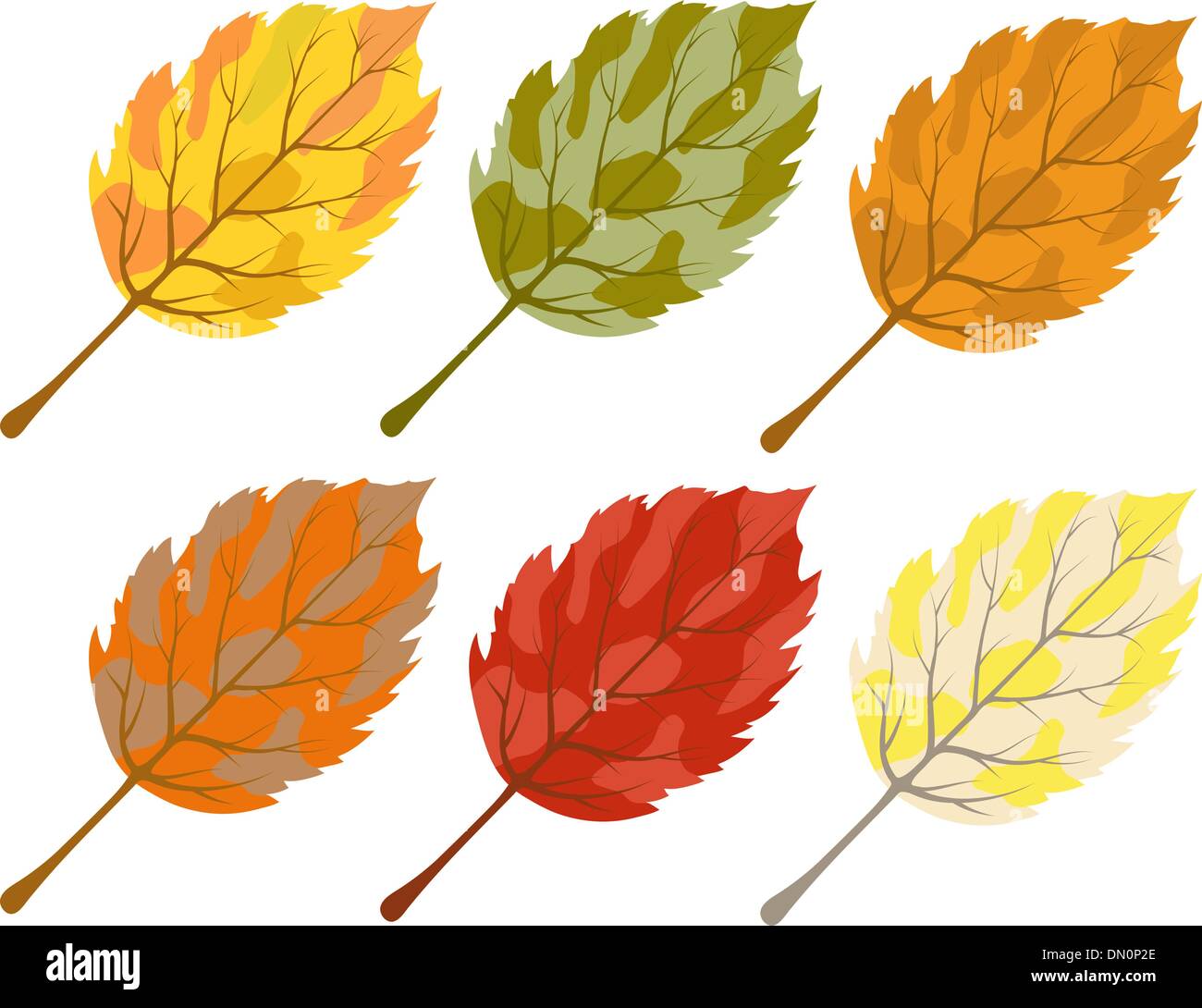 Color of leaves Stock Vector Images - Alamy