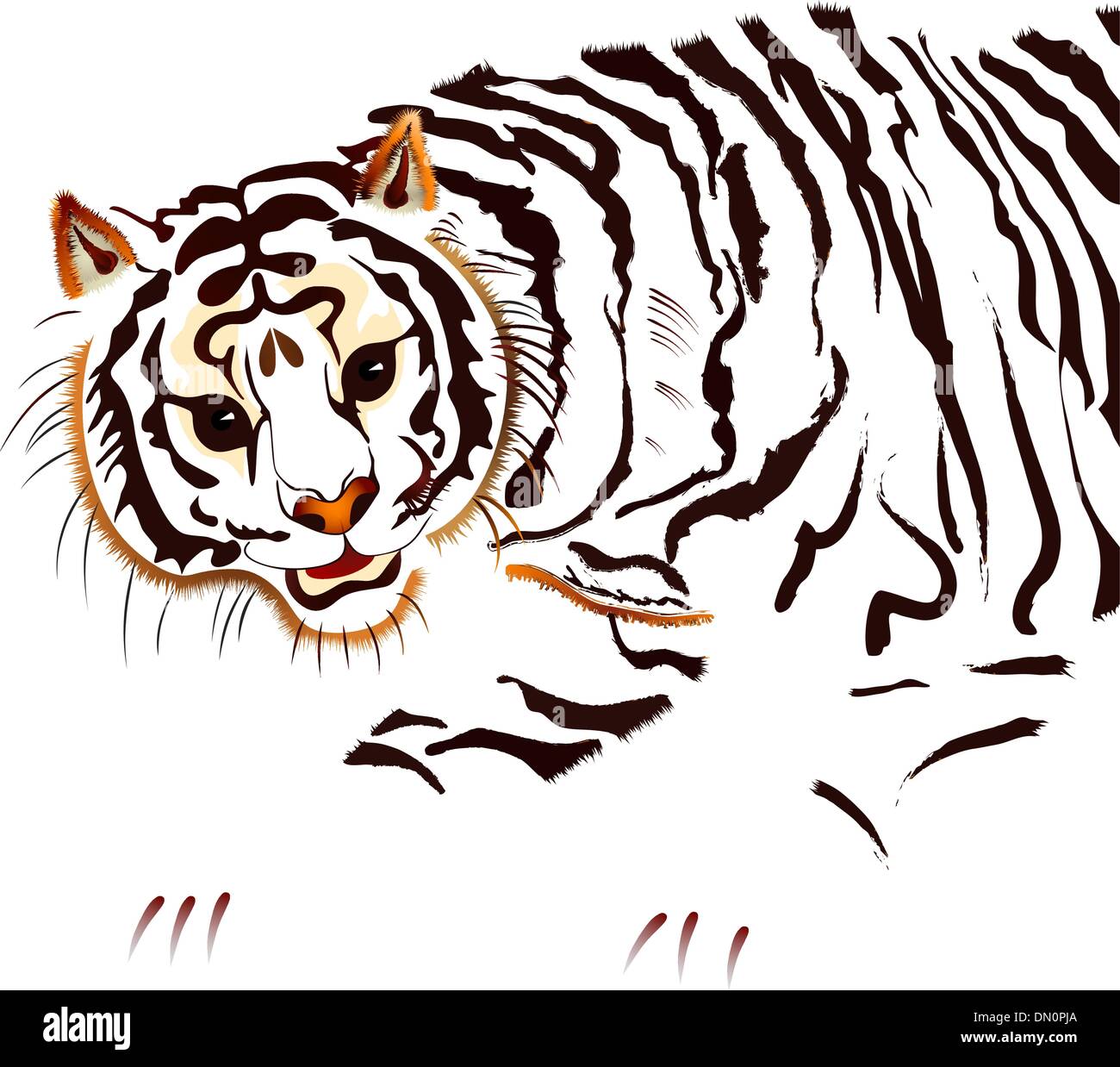 Siberian tiger - vector Stock Vector Image & Art - Alamy