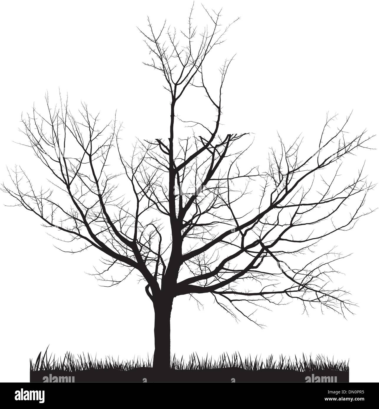 Sky tree in winter Stock Vector Images - Alamy