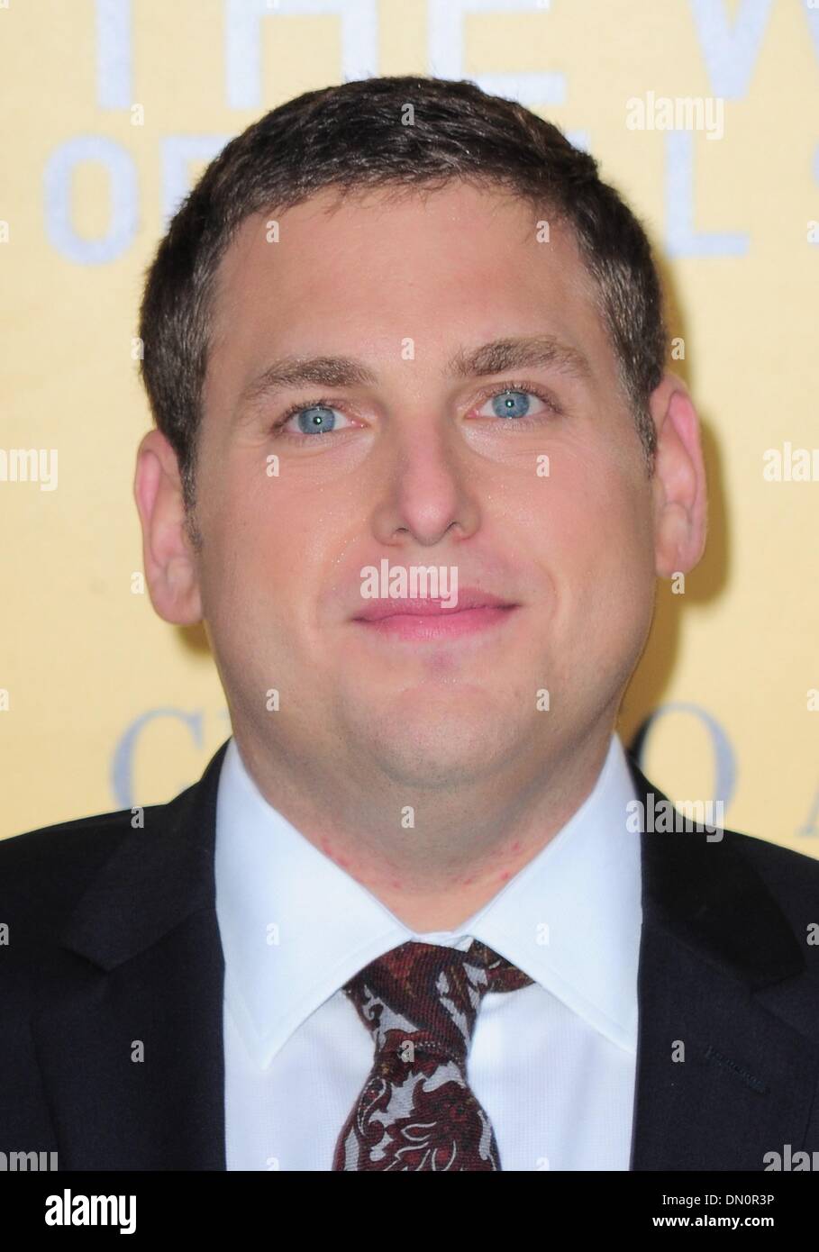 New York, USA. 17th Dec, 2013. Jonah Hill at arrivals for THE WOLF OF ...