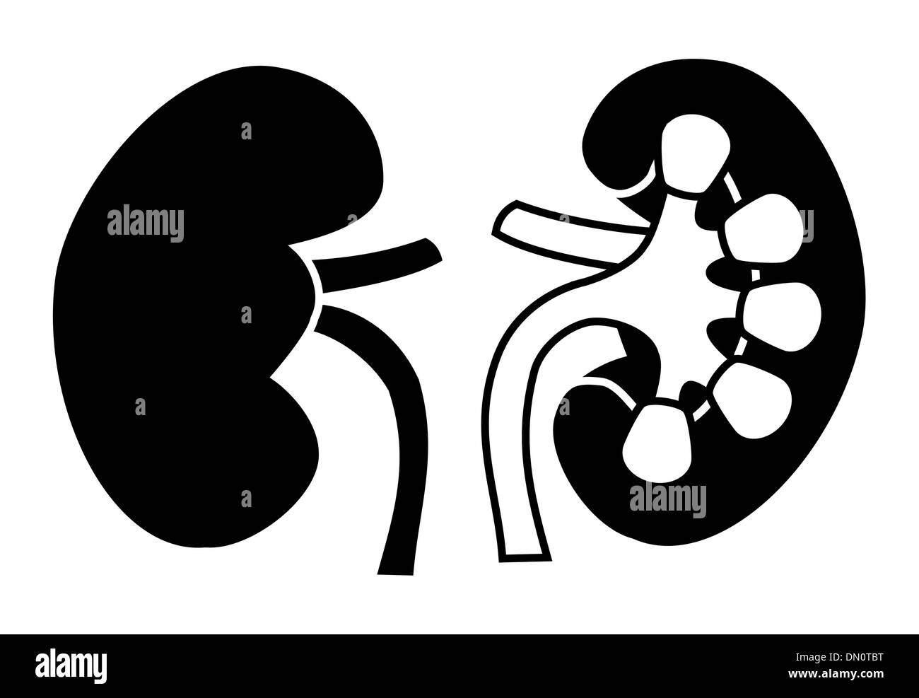 Kidneys icon on black Stock Vector Images - Alamy