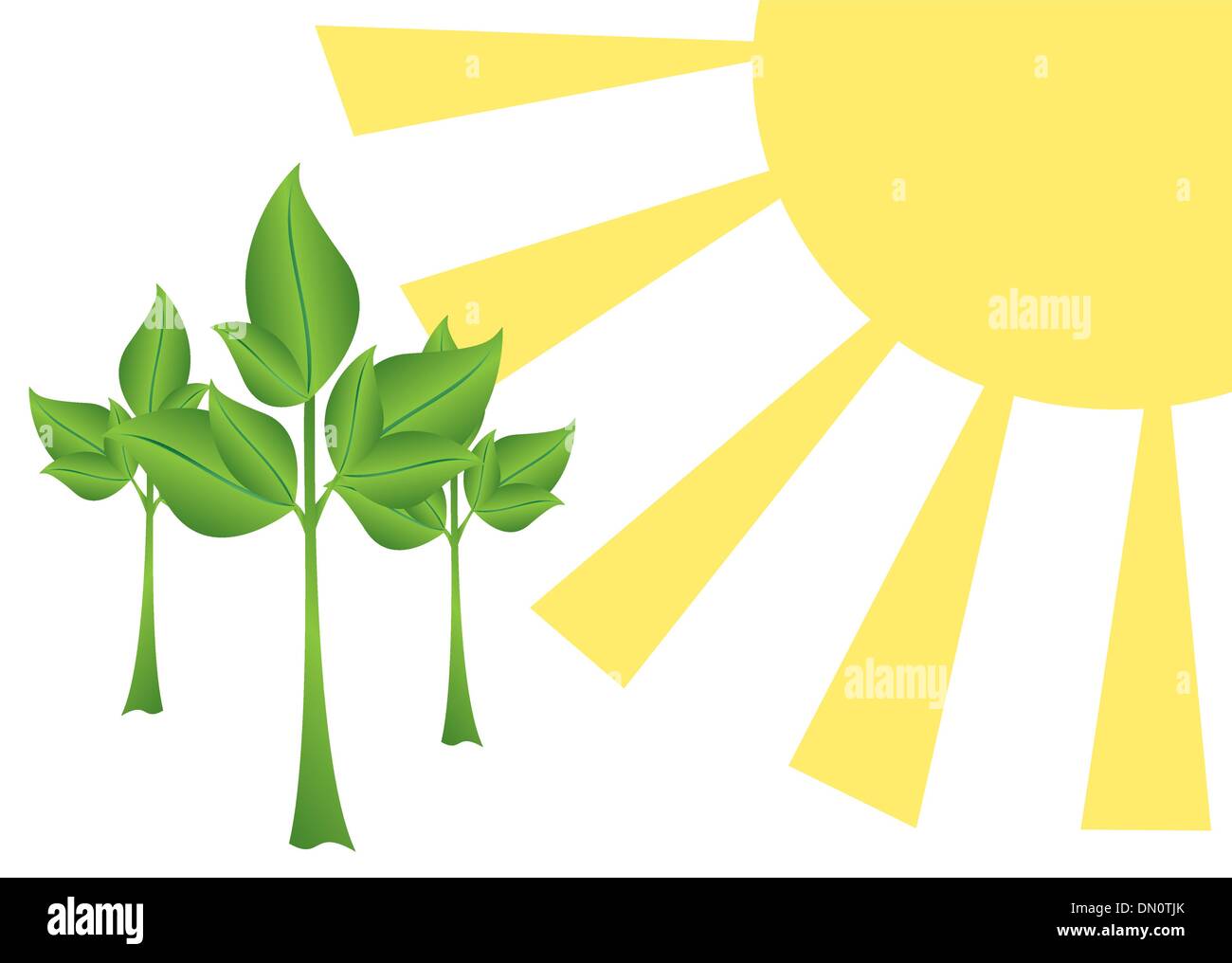 Sunlight trees Stock Vector Images - Alamy