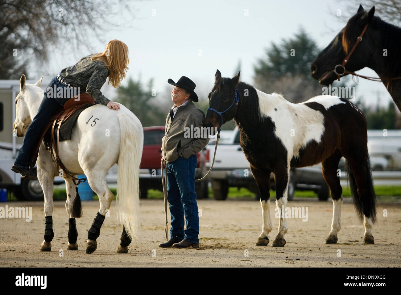 Bull hansen hi-res stock photography and images - Alamy