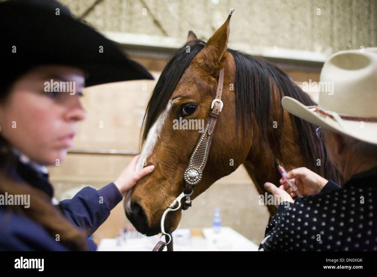 Sara sample hi-res stock photography and images - Alamy