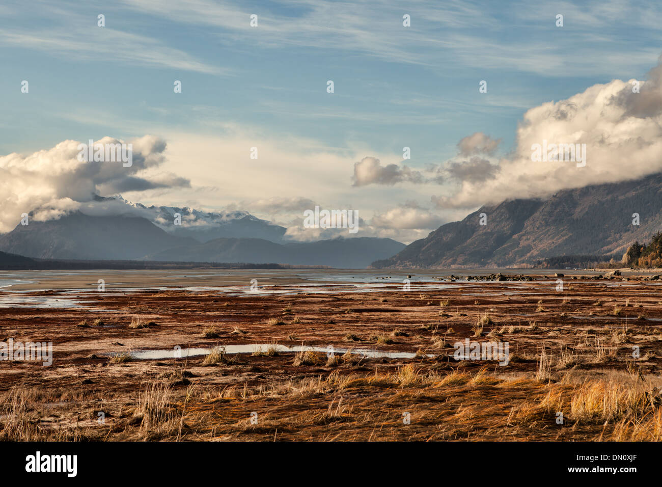 Fall colors on the Chilkat Inlet near Haines Alaska Stock Photo - Alamy