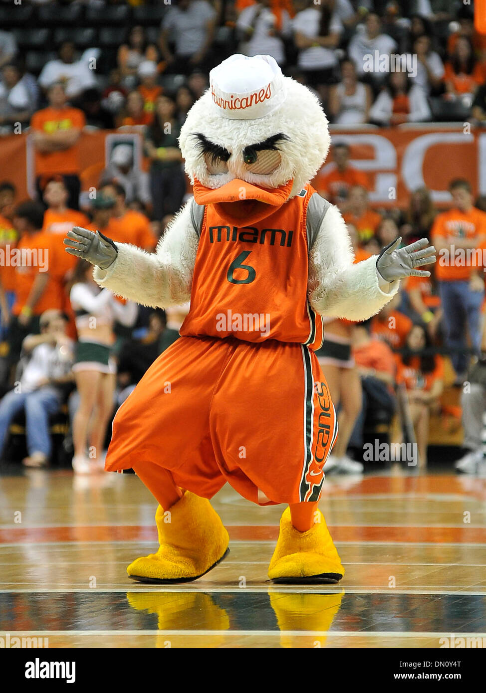 Miami hurricanes mascot hi-res stock photography and images - Alamy