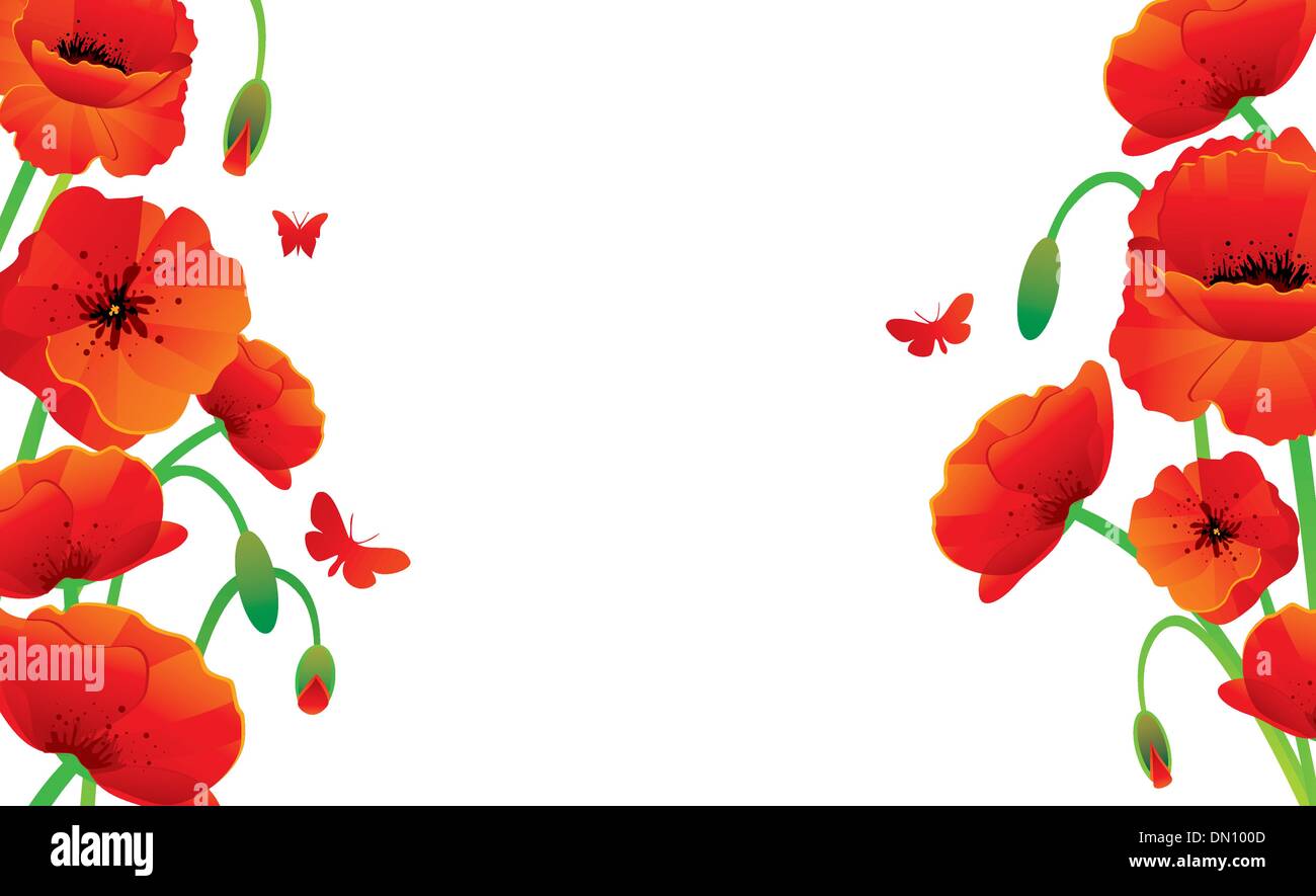 Beautiful back garden Stock Vector Images - Alamy