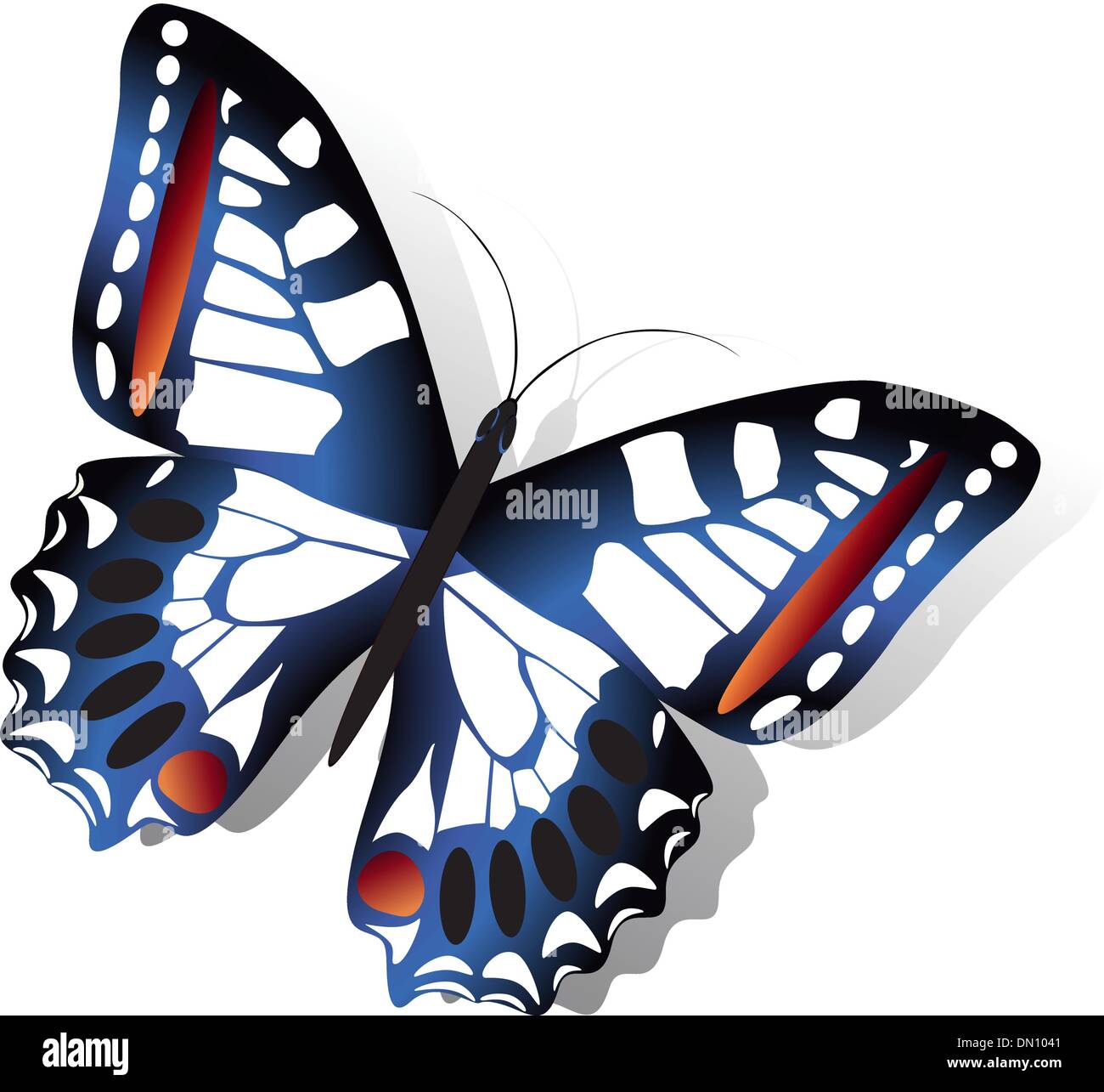 Butterfly magic Stock Vector Images - Alamy