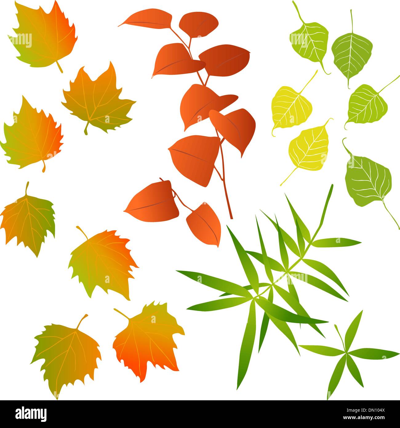 Leaf, collection for designers Stock Vector Image & Art - Alamy