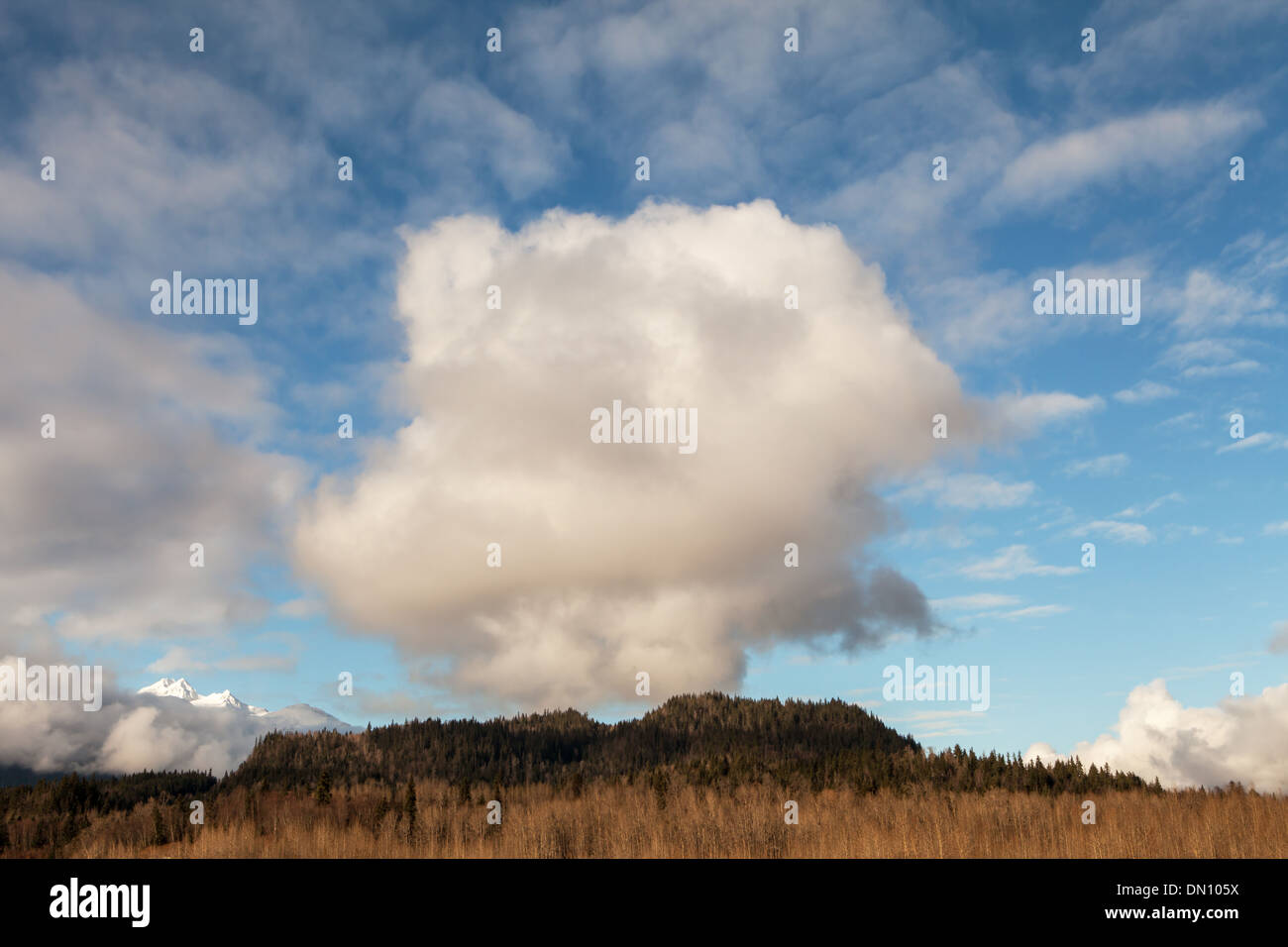 Cloud over the coast range near Haines Alaska Stock Photo - Alamy