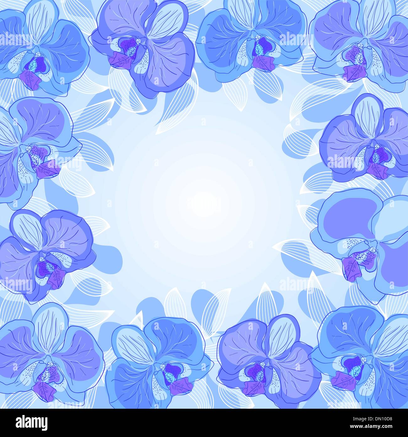 Frame Orchid High Resolution Stock Photography and Images - Alamy