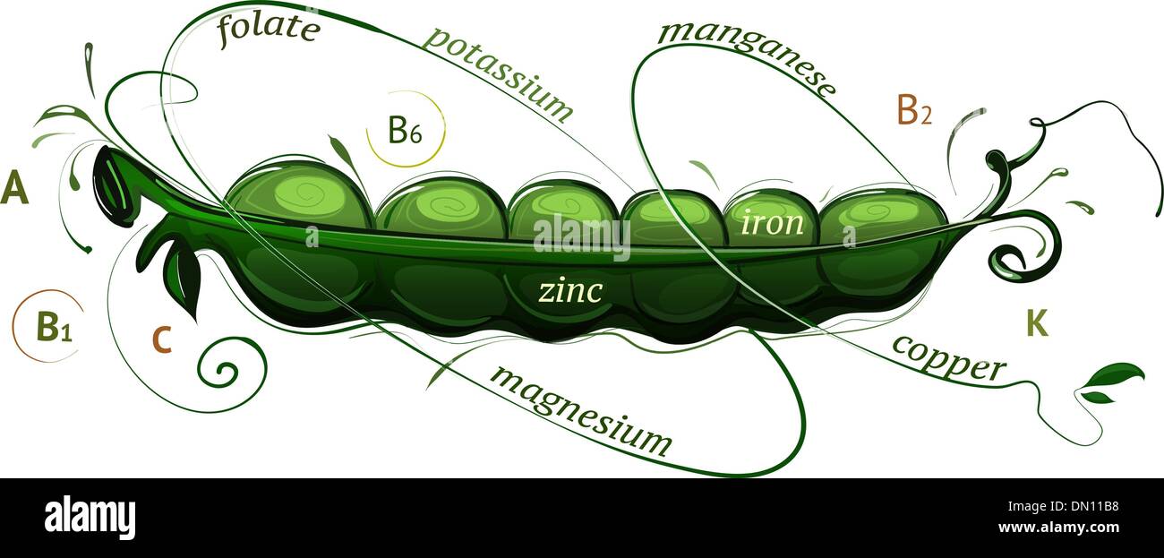 Pea Pod Vitamins Illustration Stock Vector Image & Art - Alamy